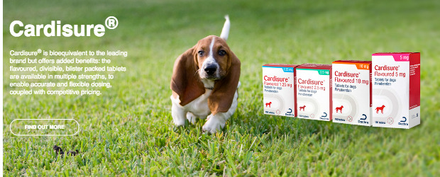 Dechra Veterinary Products NZ – Veterinary pharmaceutical products for ...